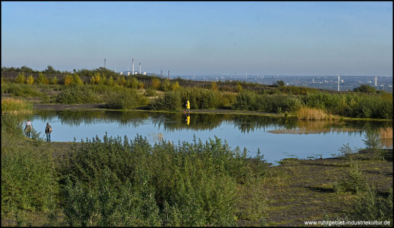 Die Halde Haniel - Industriekultur im Ruhrgebiet